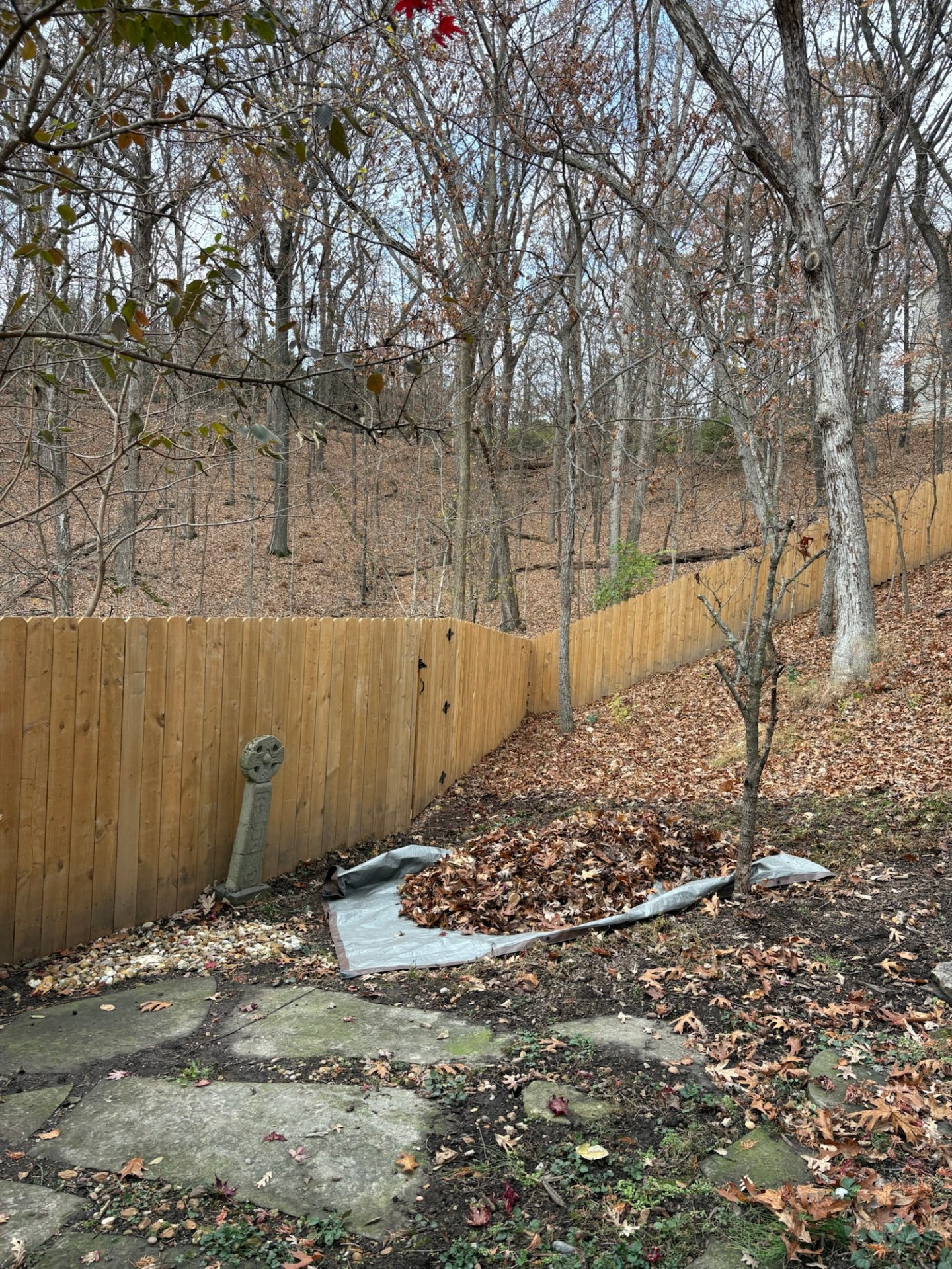 Blue Cheese x OG Skunk by Vibe – Weeds of Grass